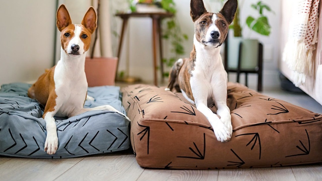 How Sustainable is Molly Mutt?